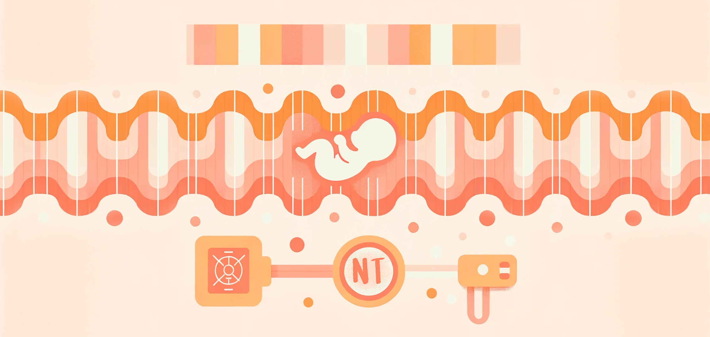 Understanding NT s 95th Percentile London Pregnancy Clinic